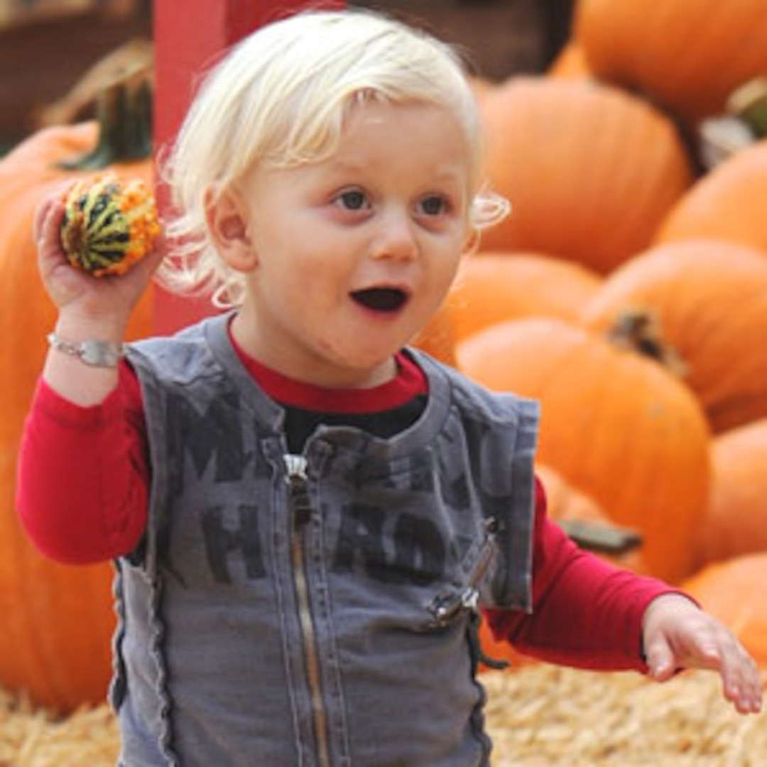 Fotos De Pumpkin Pickin E Online Latino MX fotos-de-pumpkin-pickin-e-online-latino-mx